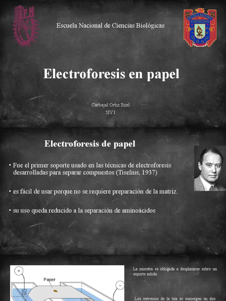 Electroforesis de Papel (1) | PDF | Electroforesis | Electricidad