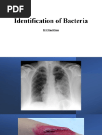 Bacteria Classification Flowchart Pdf