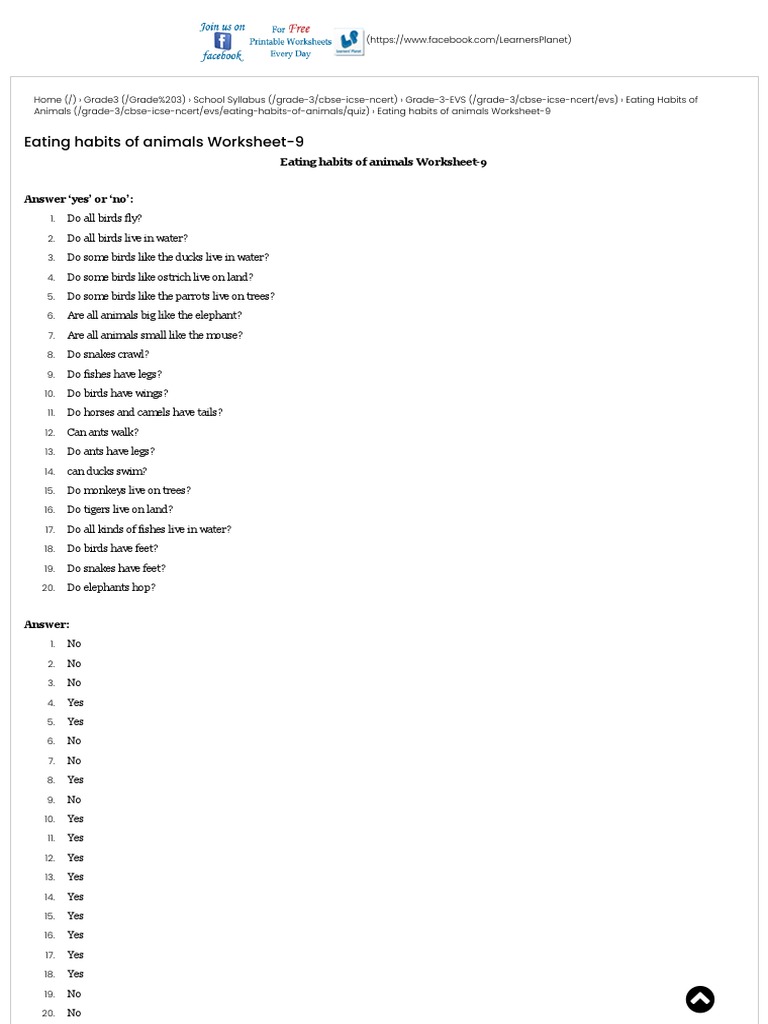 Activities On Eating Habits of Animals 3rd Grade | PDF | Zoology ...