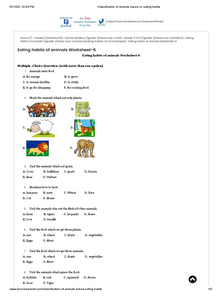 Classification of Animals Based On Eating Habits | PDF | Food And Drink ...