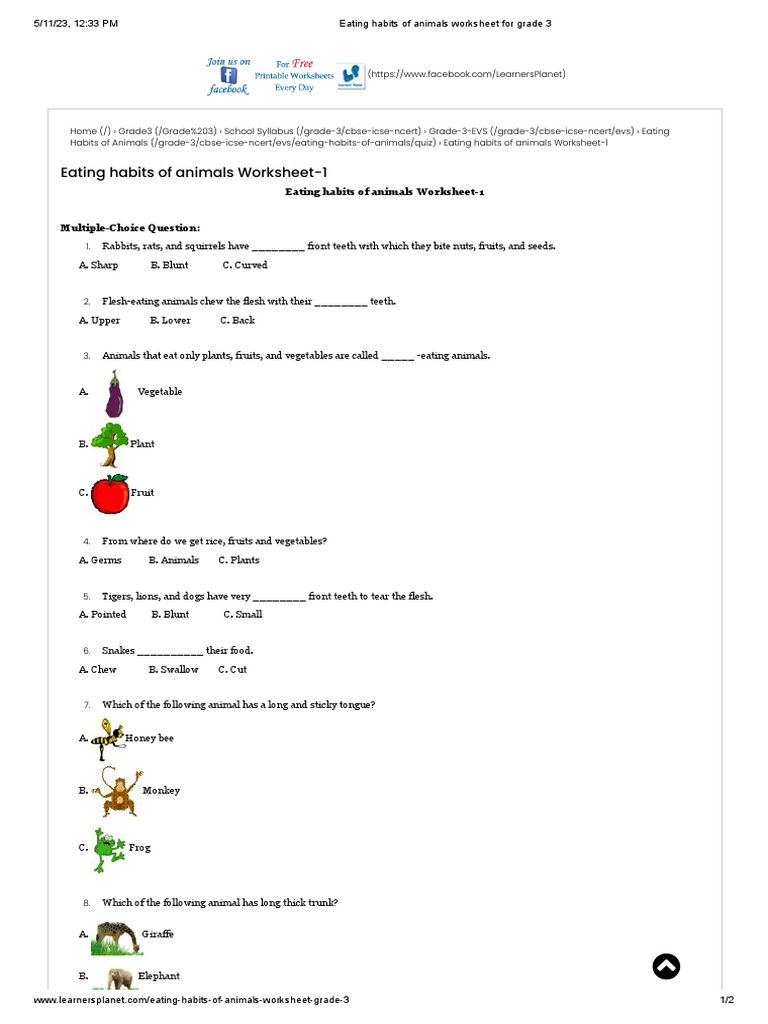 Eating habits of animals worksheet for grade 3 | PDF
