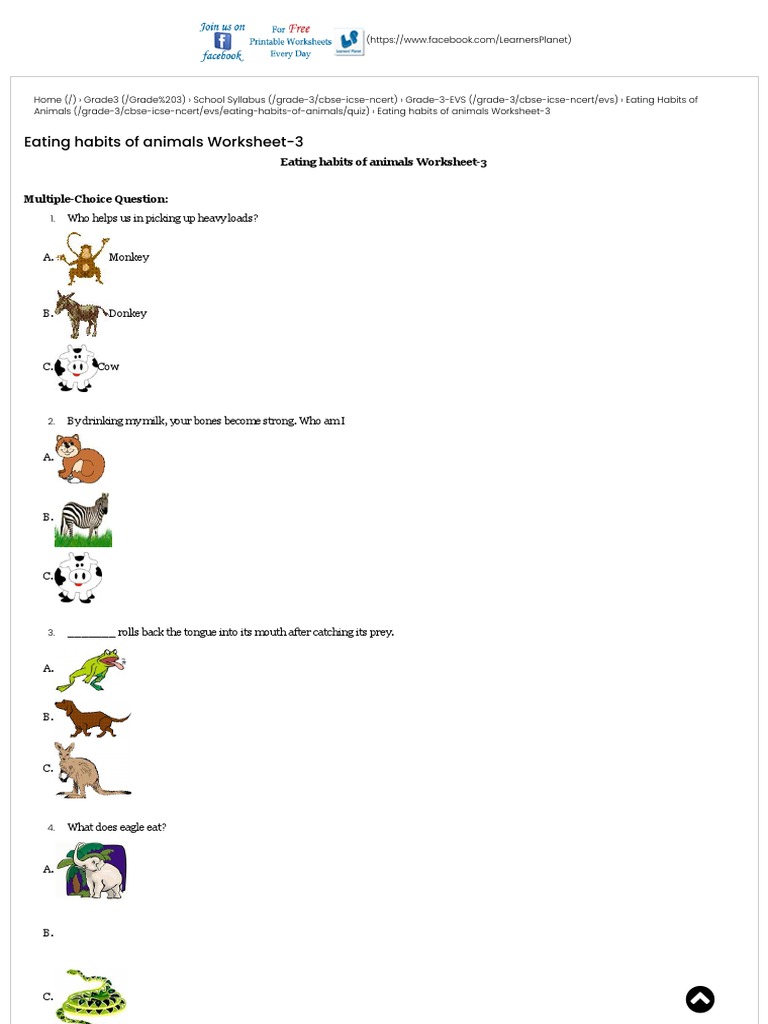 Worksheet on eating habits of animals grade 3 | PDF | Organisms ...