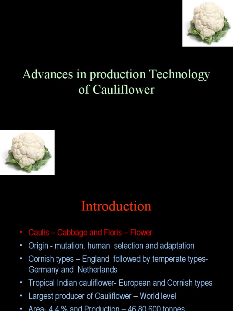 Cauliflower Theory Class | PDF | Cauliflower | Sowing