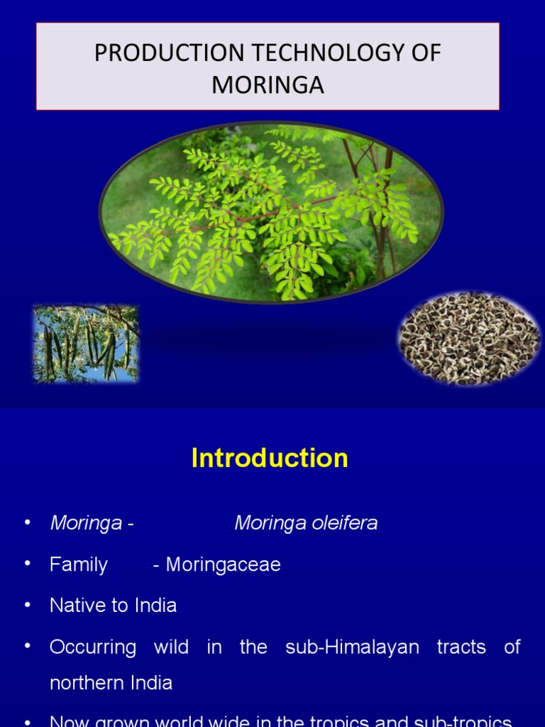 Moringa Theory Class | PDF | Sowing | Agriculture