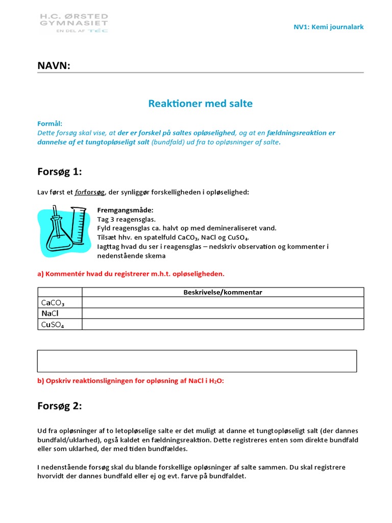 Reaktioner Med Salte - Vejledning Og Journalark. NV1 Kemi.-1 | PDF