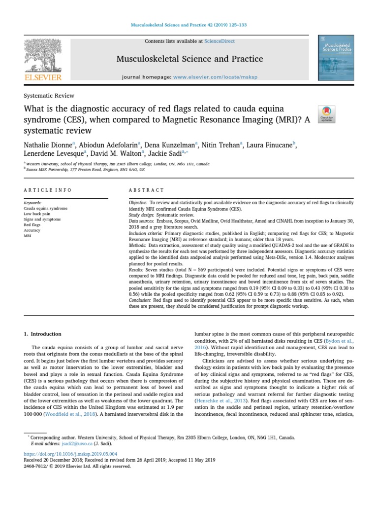 Dionne Et Al - 2019 - Diagnostic Accuracy of Red Flags CES | PDF | Back ...