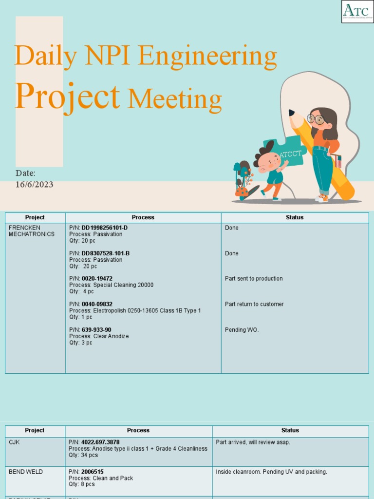 Daily NPI Engineering Project Meeting 16.6.23 | PDF
