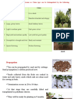 Tea Pruning Techniques and Objectives | PDF | Pruning | Leaf