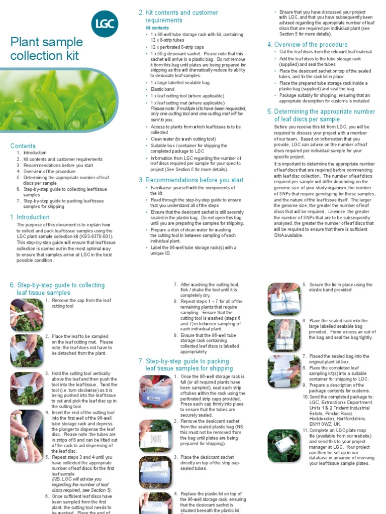 Plant Leaf Kit | PDF | Leaf