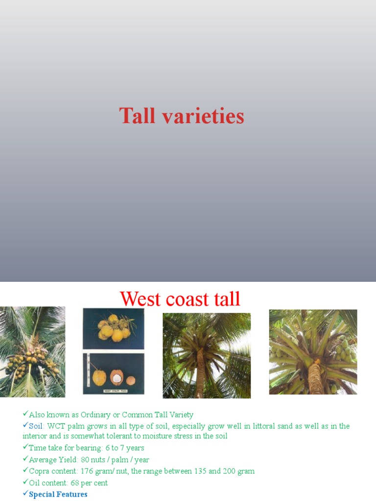 Tall Varieties | PDF | Coconut | Plants