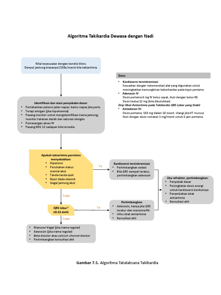 Algoritma Takikardia Dewasa Dengan Nadi | PDF