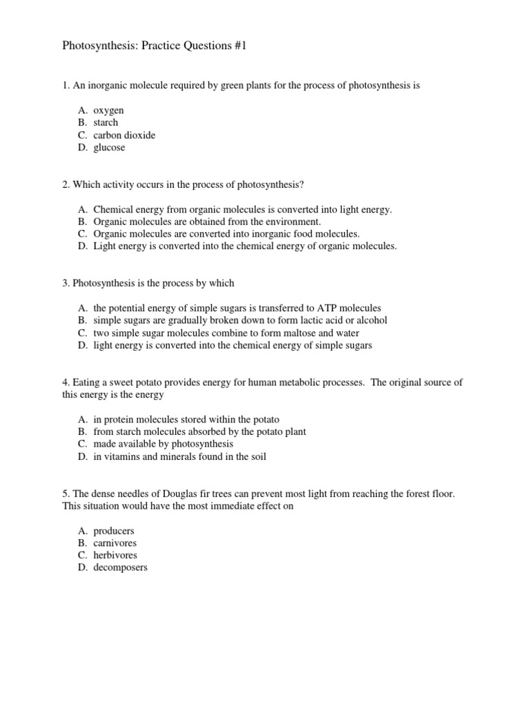 Practice Questions 1 Photosynthesis | PDF | Photosynthesis | Plants