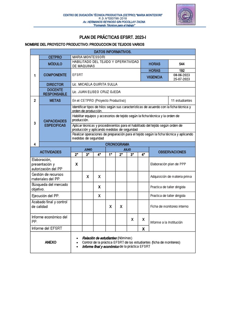 Plan de PPP 2023 MODULO I | PDF