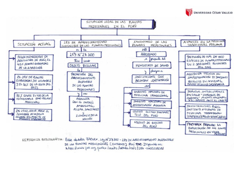 Mapa Conceptual Semana 7 | PDF