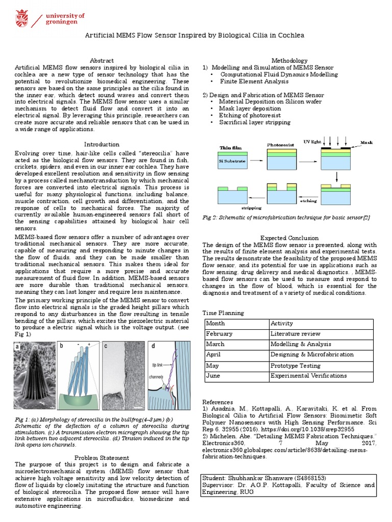 Shub Poster | PDF | Microelectromechanical Systems | Sensor