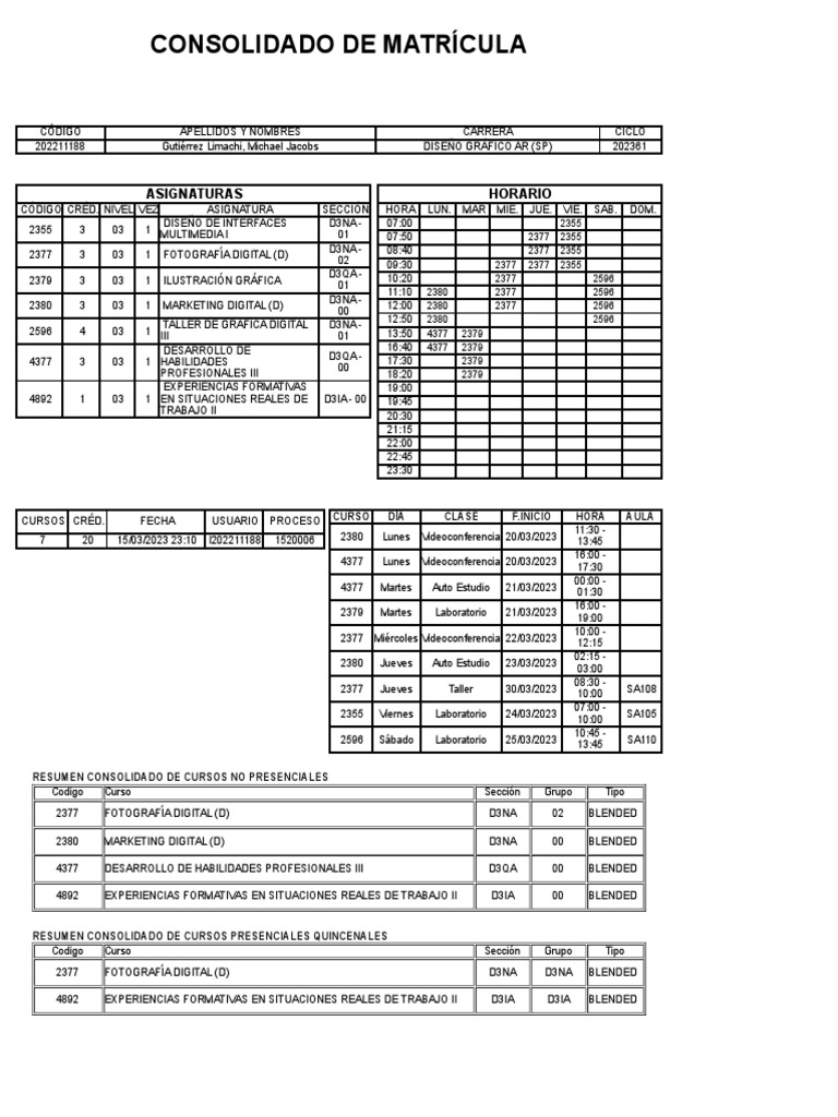 Matrícula en Línea | PDF