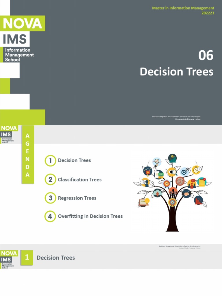 06 - Decision Trees | PDF | Regression Analysis | Statistical Classification