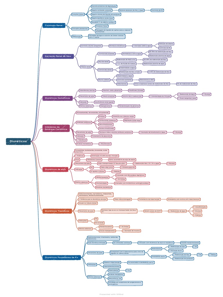 Mapa Mental - Diuréticos | PDF | Rim | Especialidades médicas