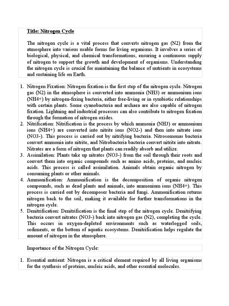 Nitrogen Cycle | PDF | Chemistry | Environmental Science