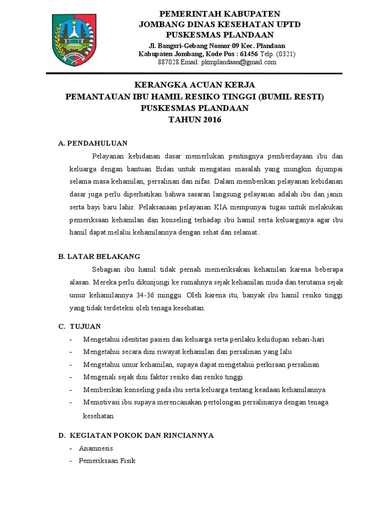 KERANGKA ACUAN PEMANTAUAN BUMIL RISTI | PDF