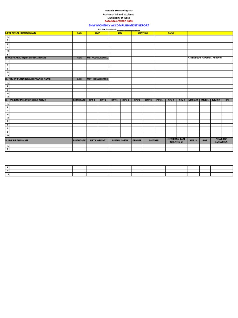 BHW Monthly Accomplishment Report | PDF