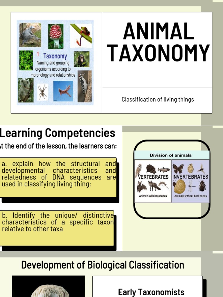 Lesson 4A Taxonomy | PDF | Taxonomy (Biology) | Species
