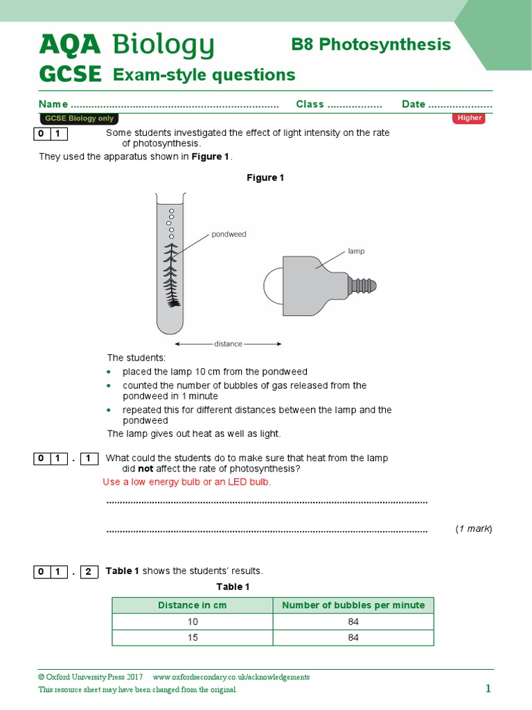 B8 Photosynthesis | PDF