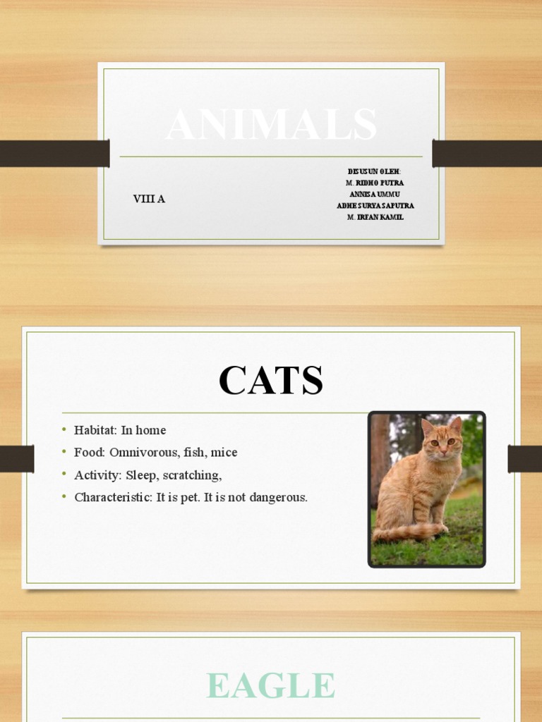 Animals | PDF