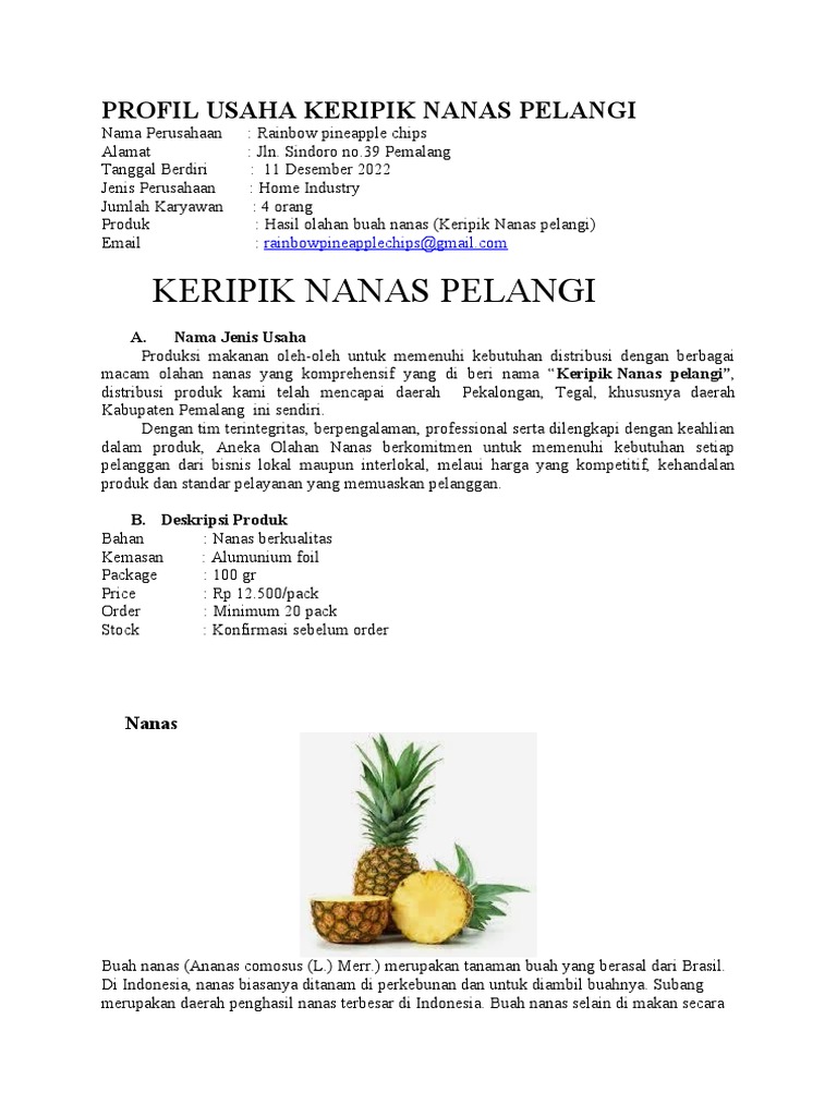 Profil Usaha Keripik Nanas | PDF