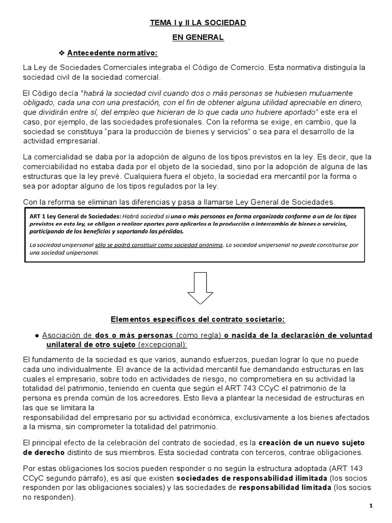 Sociedades | PDF | Sociedad de responsabilidad limitada | Sociedad