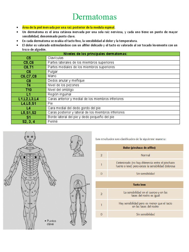 Dermatomas y Miomas | PDF
