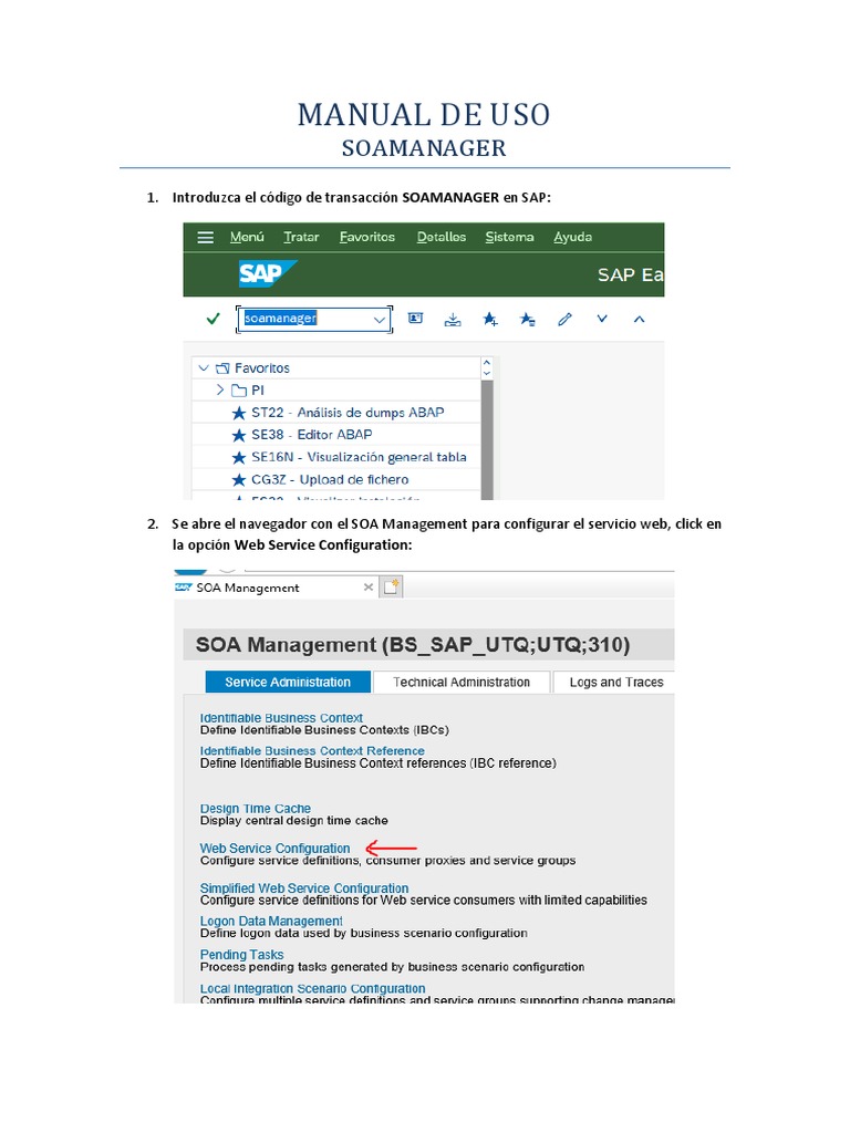 Configuración de SOAMANAGER en SAP | PDF