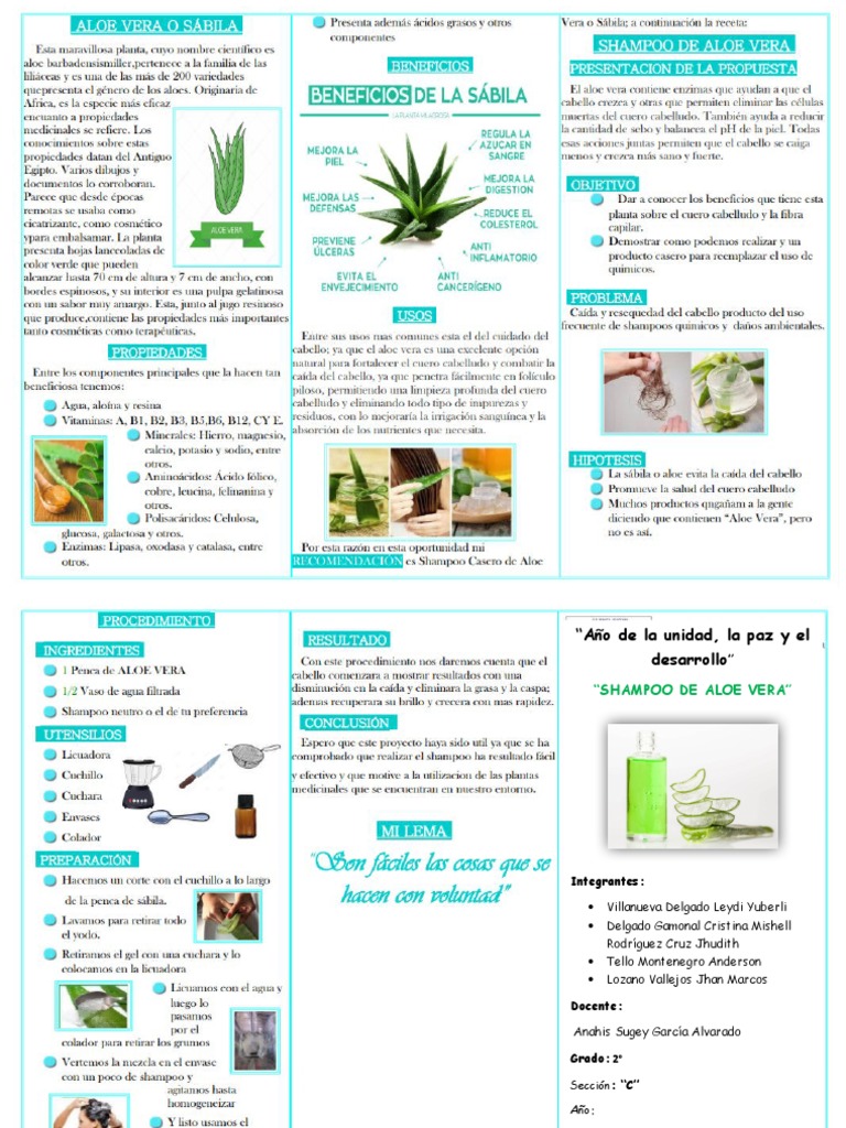 Aloe Vera | PDF