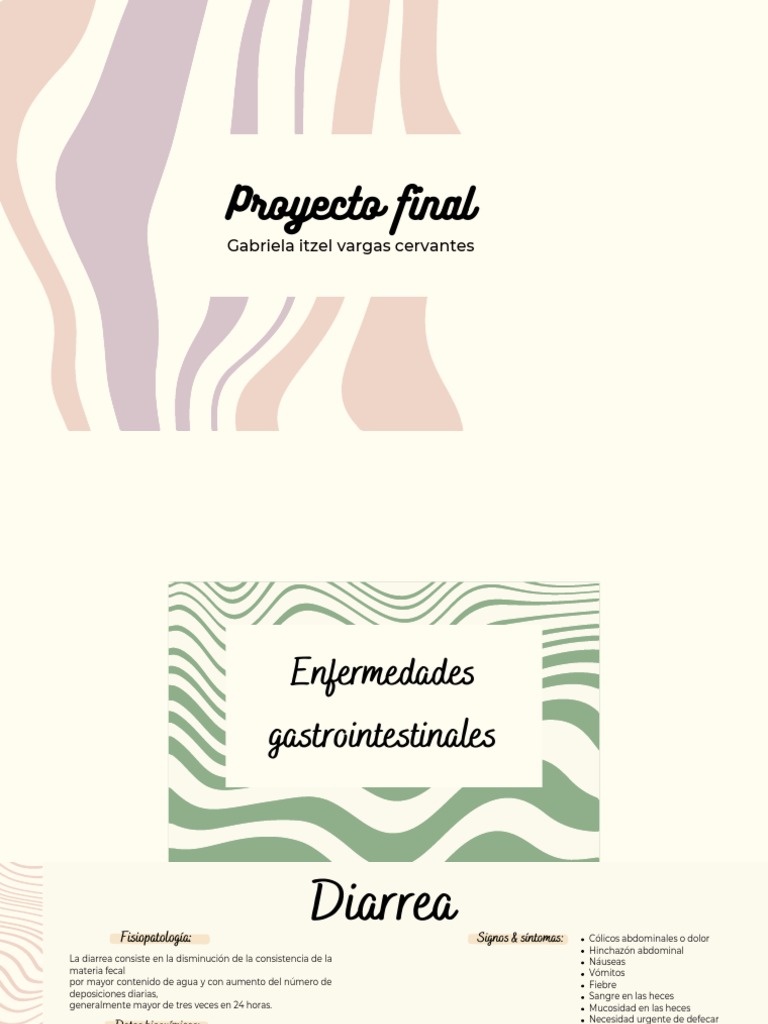 Proyecto Final Gaby Vargas | PDF | Hemorroides | Heces