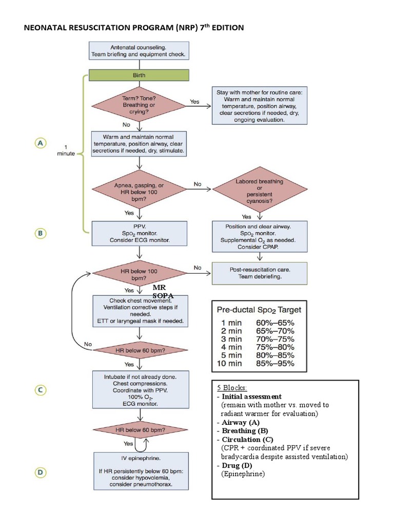 NRP 1 | PDF | Cardiopulmonary Resuscitation | Respiratory System