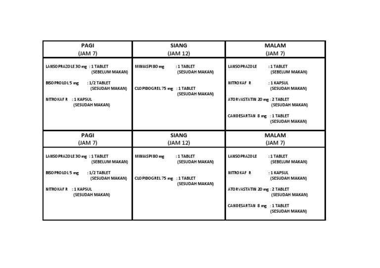 Aturan Minum Obat Papa | PDF