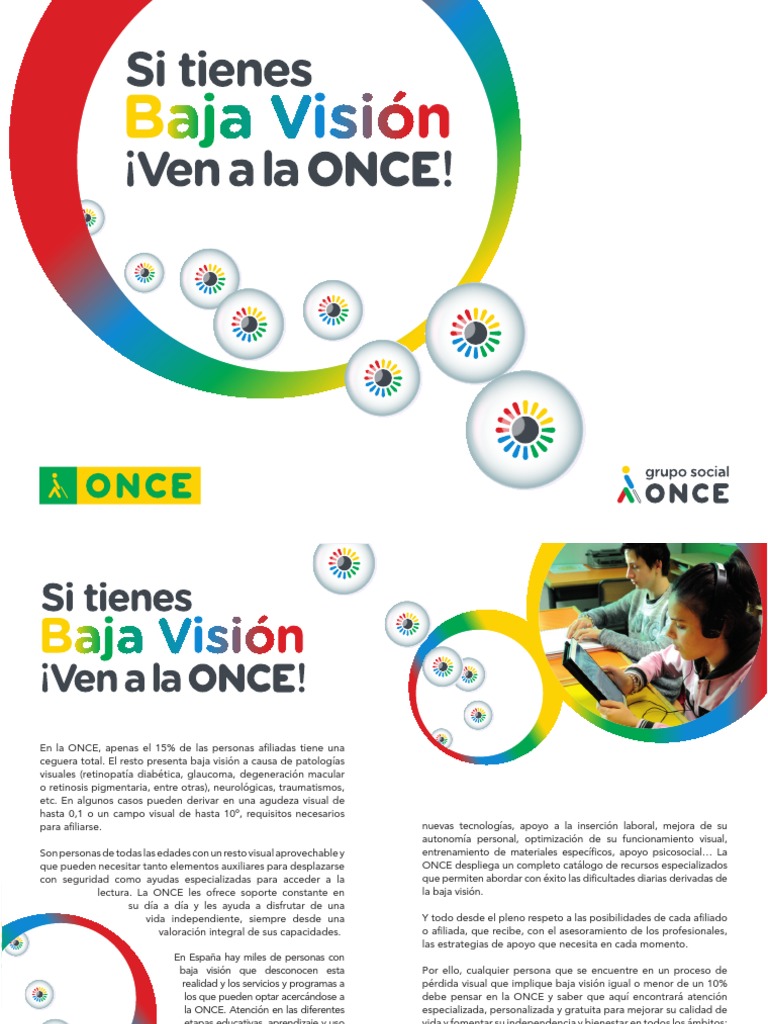 Servicios de apoyo para baja visión en ONCE | PDF