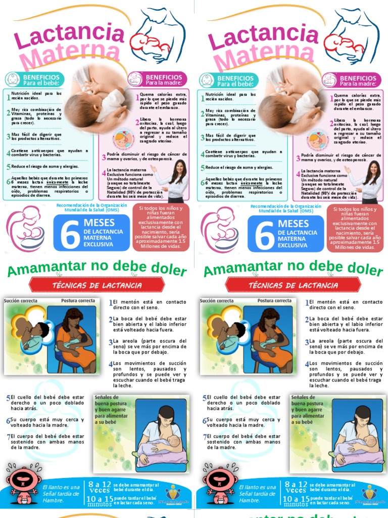 Folleto Lactancia Materna | PDF | Amamantamiento | Pecho