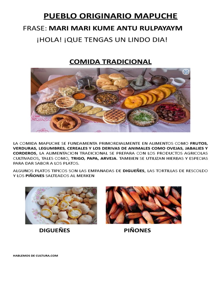 Pueblo Originario Mapuche | PDF | Cocina, comidas y vino