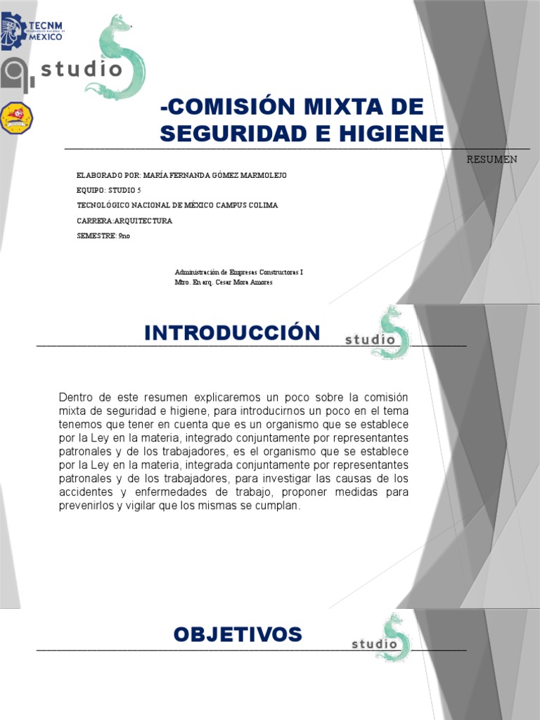 Resumen Comisión Mixta de Seguridad e Higiene | PDF | Higiene