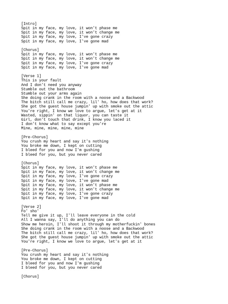 Spit in My Face Thxsomuch | PDF | Poetry