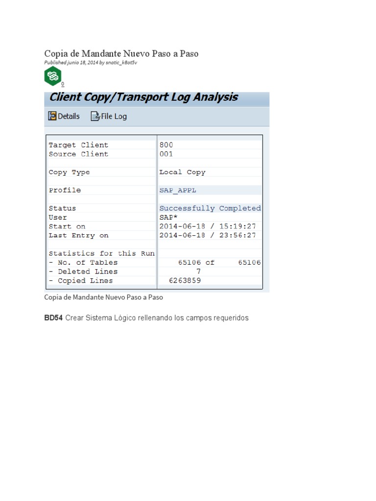 Copia de Mandante Nuevo Paso a Paso | PDF