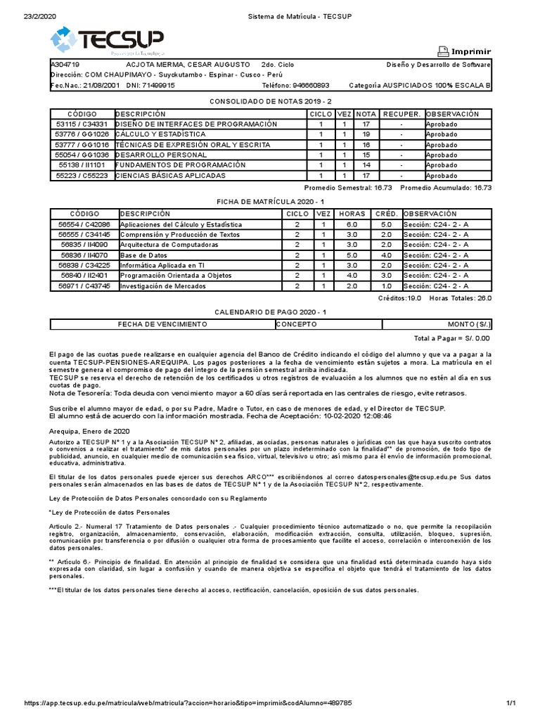 Sistema de Matrícula - TECSUP | PDF | Privacidad de la información ...