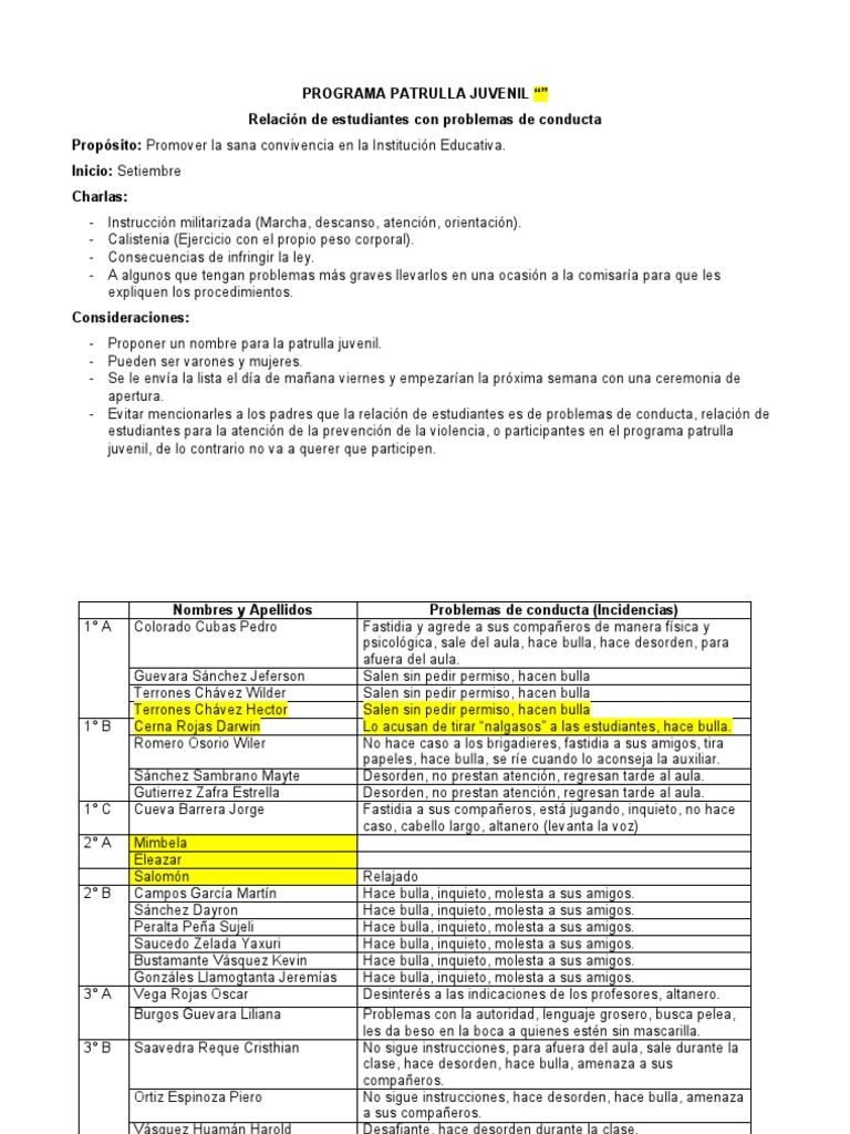 Bosquejo PROGRAMA PATRULLA JUVENIL | PDF