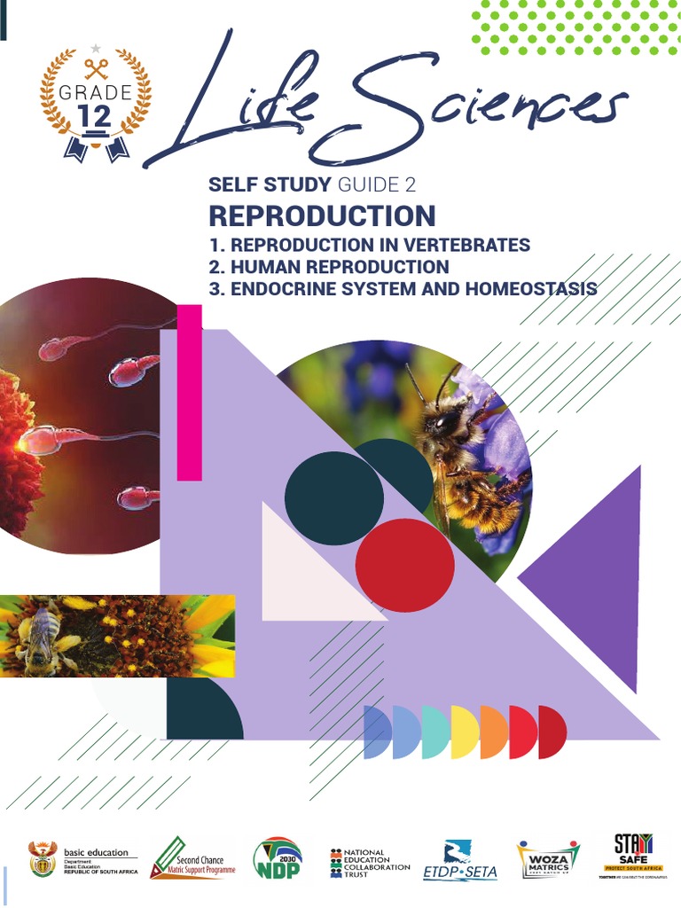 Grade 12 Life Sciences: Reproduction Guide | PDF | Menstrual Cycle | Ovary