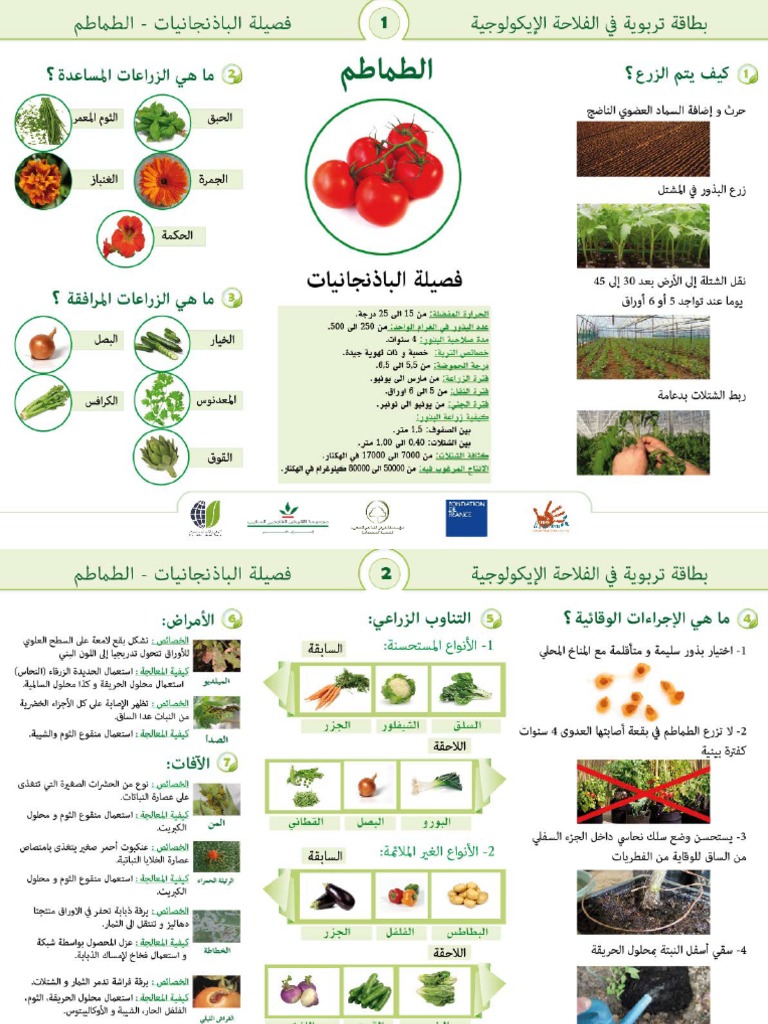 fiche-technique-tomate | PDF