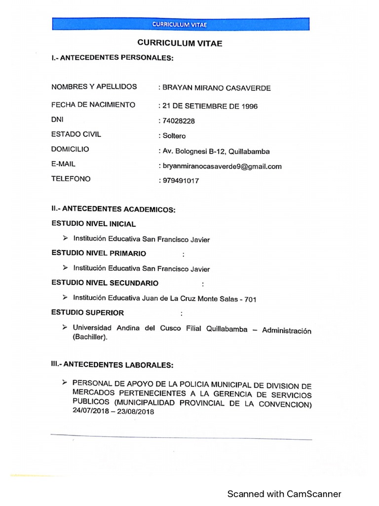 CV Brayan Mirano Casaverde | PDF