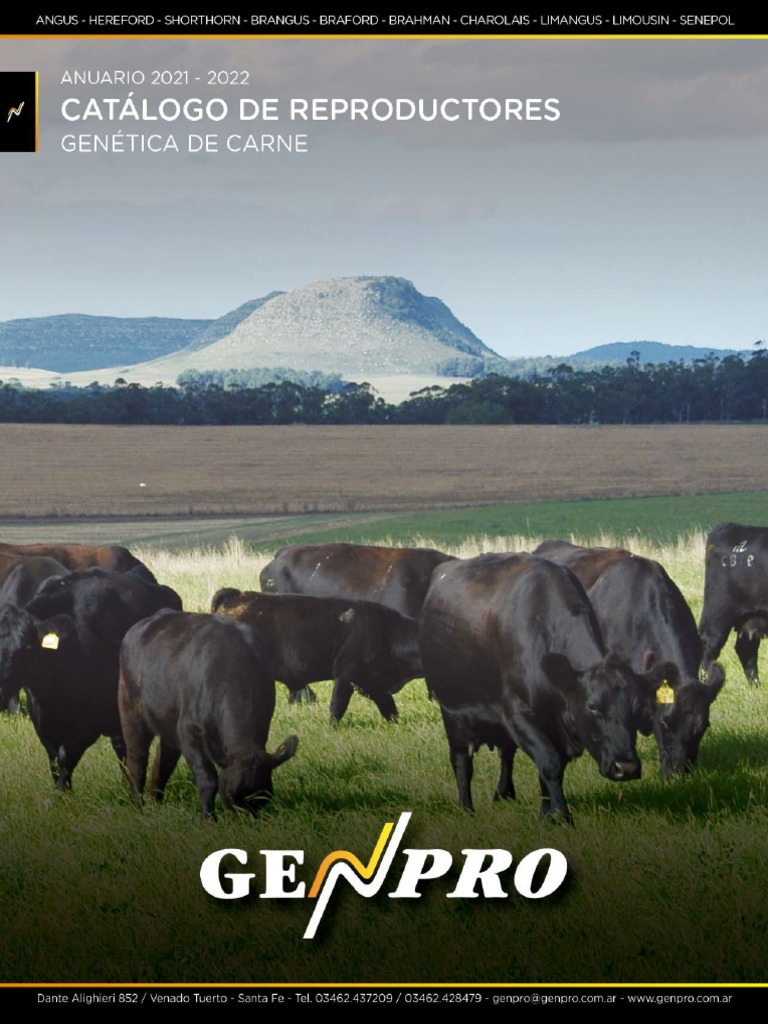 Catálogo GENPRO Carne 2021-22 | PDF | Vacas | Carne