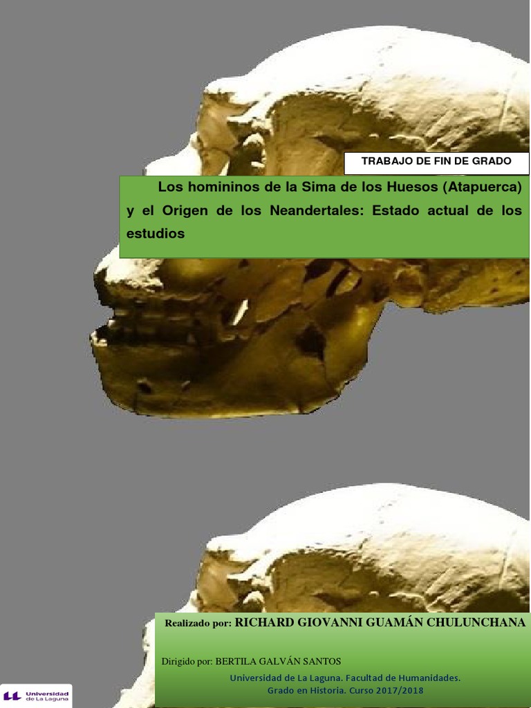 T.F.G. FINAL_Richard | PDF | Cráneo | neanderthal