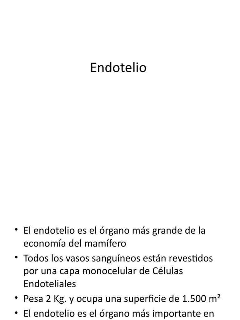 Funciones y Estructura del Endotelio | PDF | Endotelio | Plaqueta